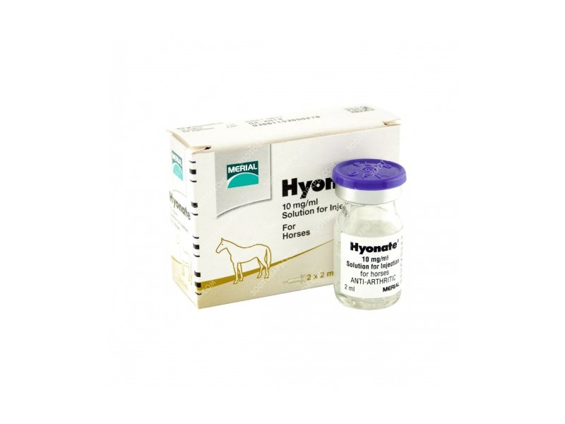 Boehringer ХИОНАТ Раствор для инъекций (лечение суставов) купить в Zoodom