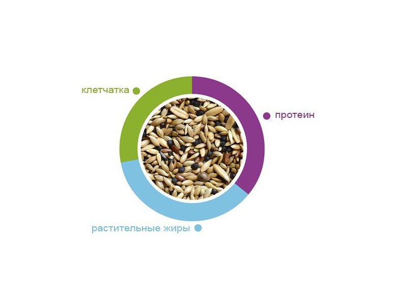 Padovan (Падован) NaturalMix Canarini - корм для канарок купити онлайн ...